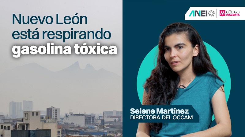El Consejo: Nuevo León está respirando gasolina tóxica | Entrevista con ...